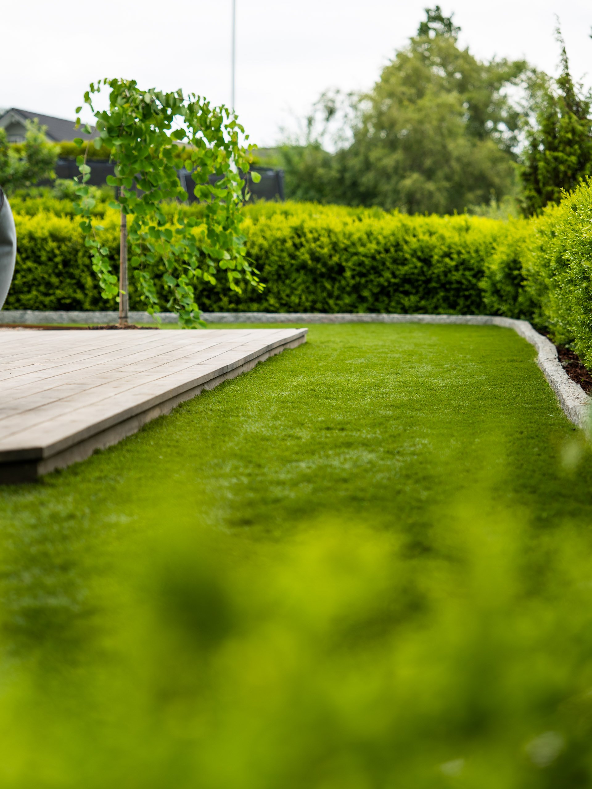 Kunstgress Gard 4x25m rull - Wee.no