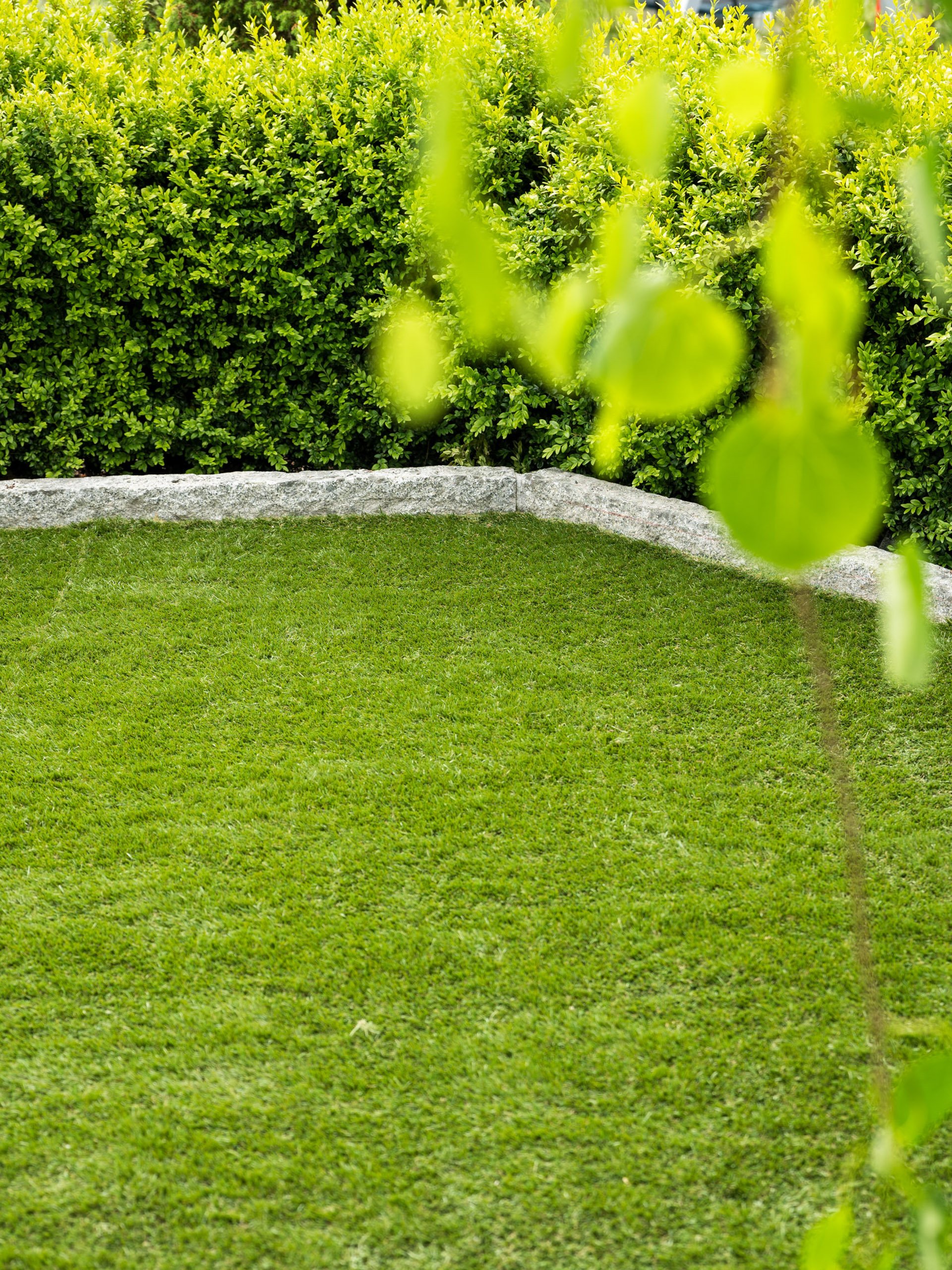 Kunstgress Gard 4x25m rull - Wee.no