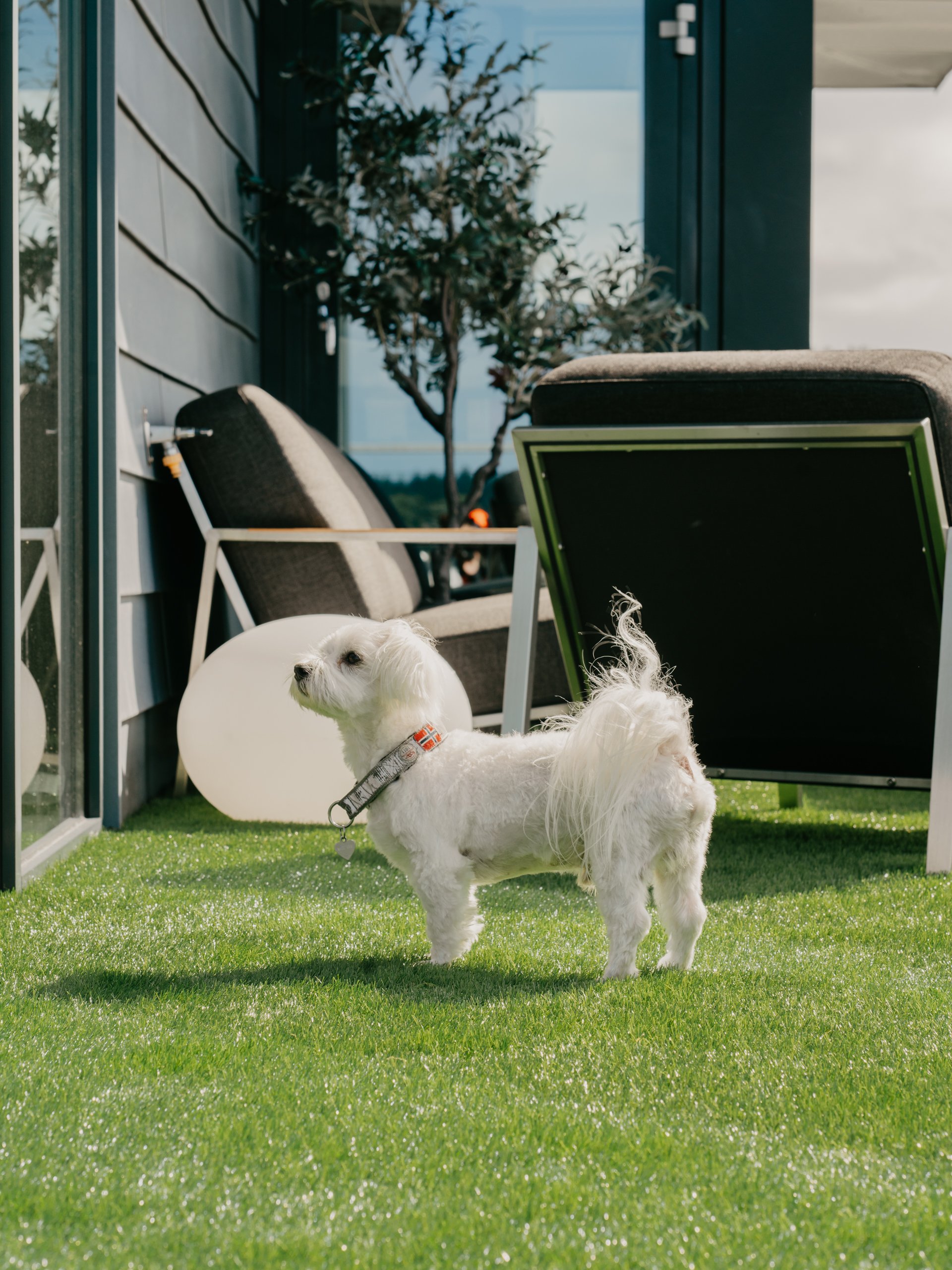 Kunstgress Håvik 4x25m rull - Wee.no