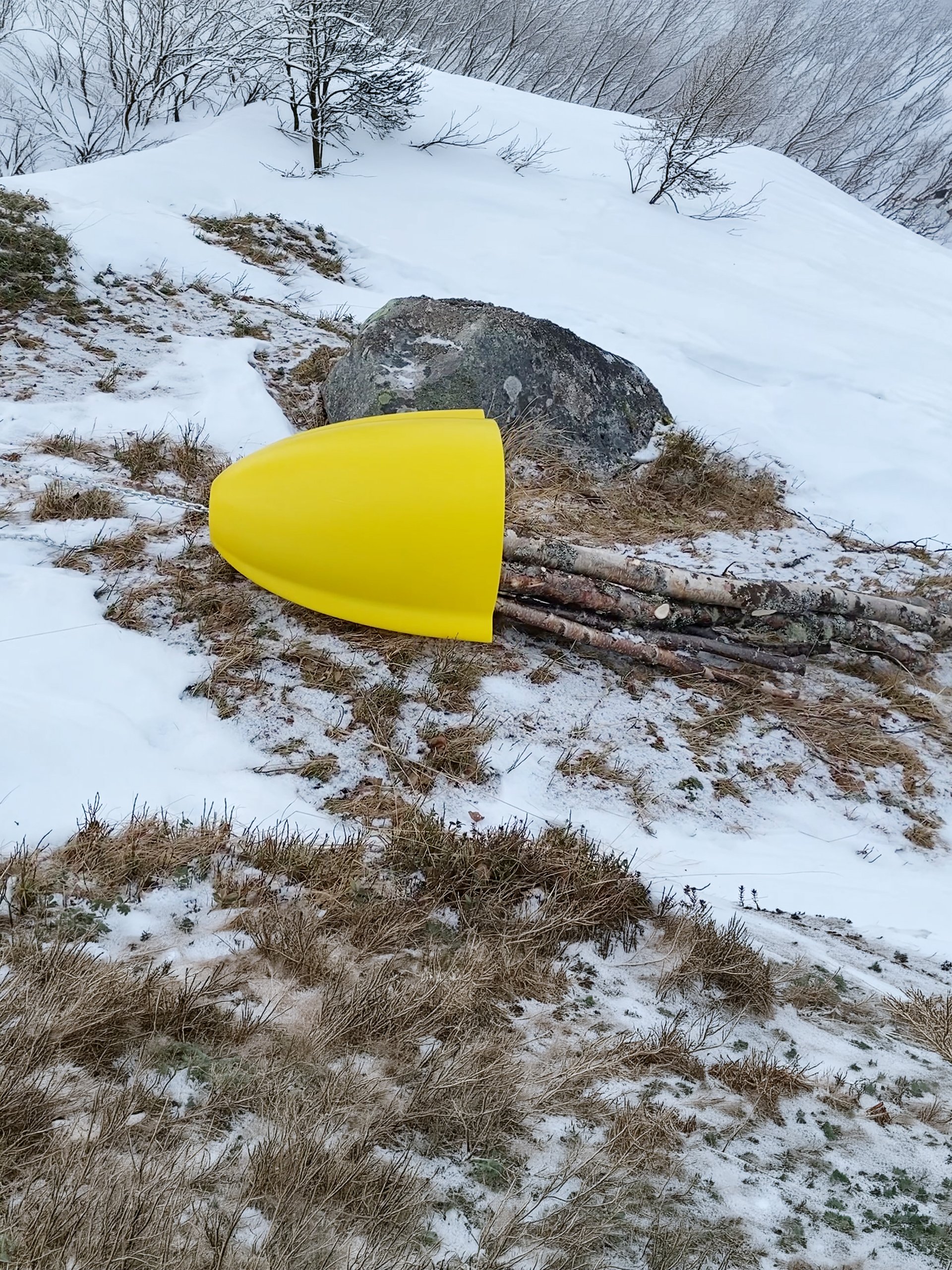 Tømmerkjegle - Logging cone - Wee.no