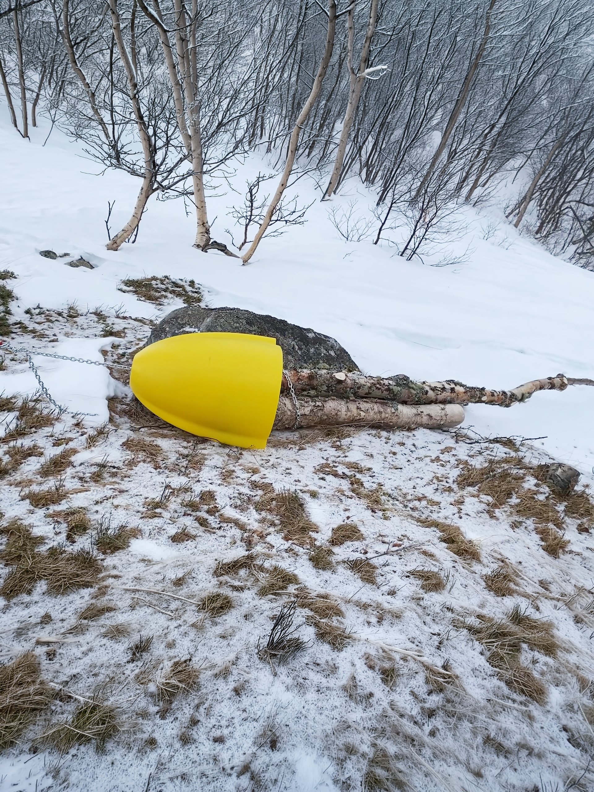 Tømmerkjegle - Logging cone - Wee.no